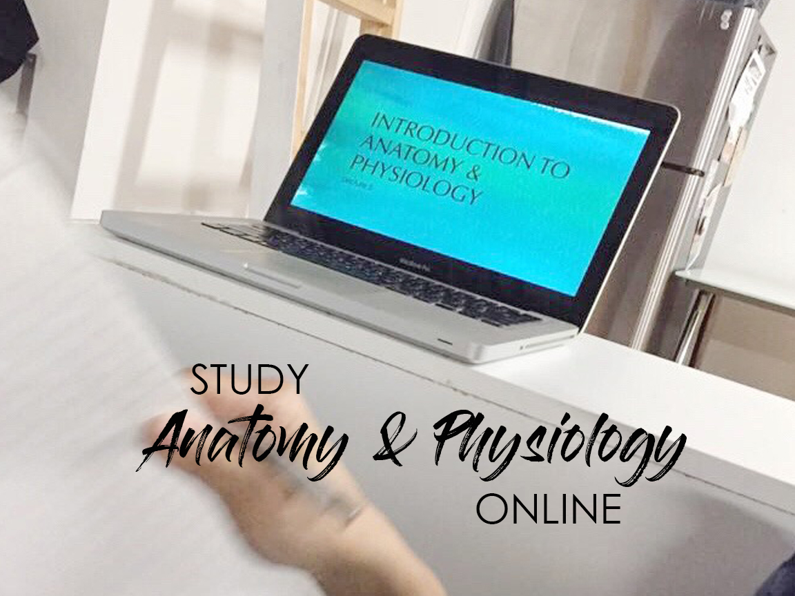 Introduction to Anatomy & Physiology Payment Plan - NAVINA